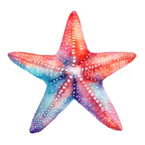 Beautiful STARFISH Clipart Bundle - 10 High Quality Jpgs - Digital ...