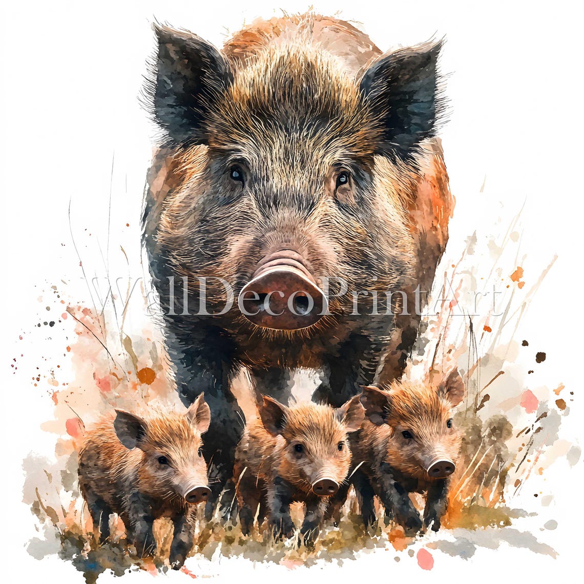 12 Wild Boar Clipart Bundle - High Quality Jpgs - Digital Download ...