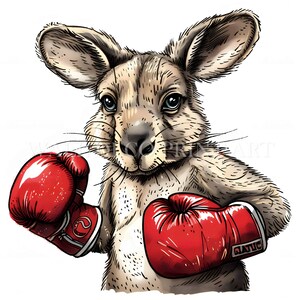 Boxing Kangaroo Clipart Bundle - 10 High Quality Jpgs - Digital ...