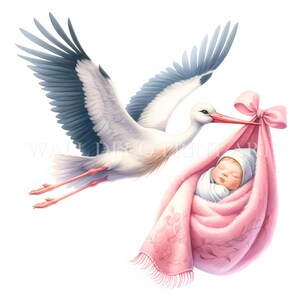 Baby Girl and Stork Clipart Bundle - 10 High Quality Jpgs - Digital ...
