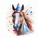 Birthday HORSES Clipart Bundle - 10 High Quality Jpgs - Digital ...