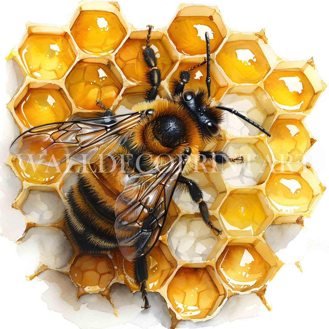 10 Bee and Honeycomb Clipart Bundle - High Quality Jpgs - Digital Downloads - Commercial Use ...
