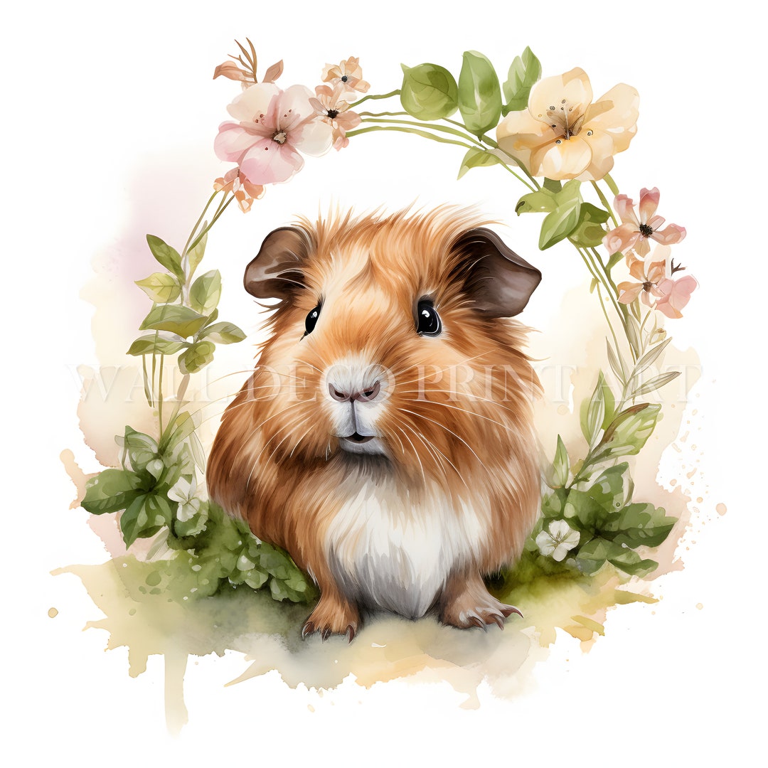 Cute GUINEA PIG Clipart Bundle - 10 High Quality Jpgs - Digital ...
