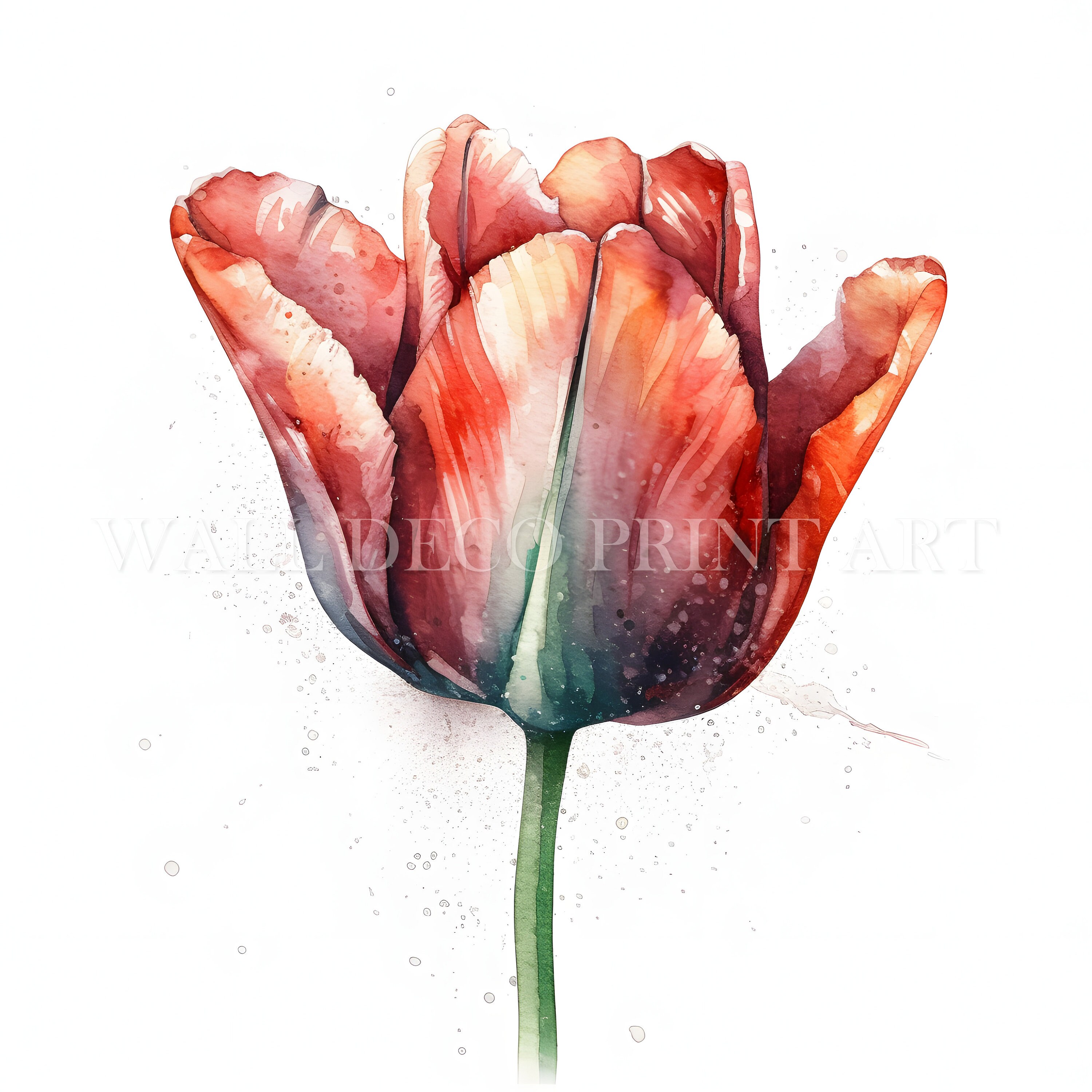 Watercolor Spring Flowers Clipart Tulip 10 High Quality - Etsy