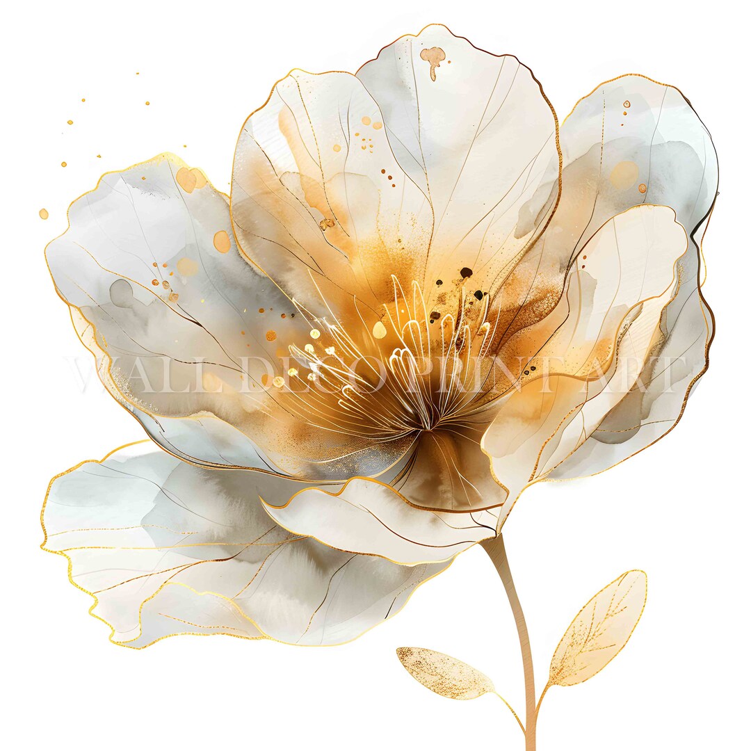 Ivory & Gold Abstract Flowers Clipart Bundle 10 High Quality Jpgs ...