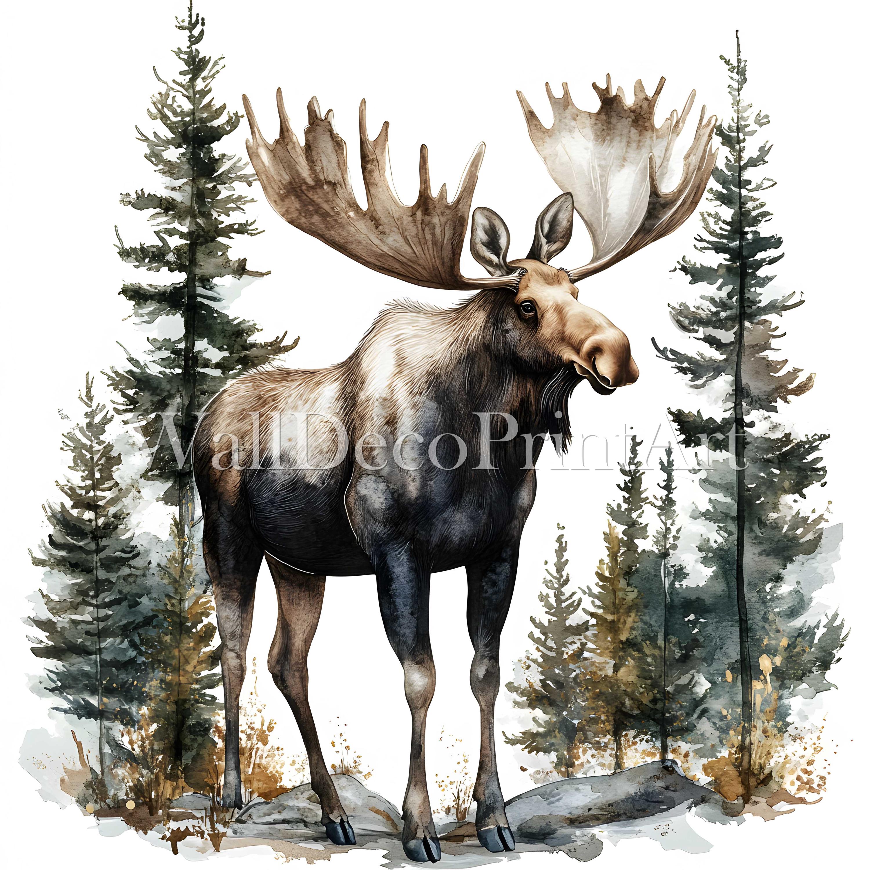 Beautiful Moose Clipart Bundle - 10 High Quality JPG - Digital Download ...