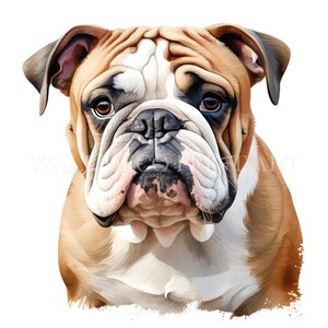 Cute Bulldog Puppy Clipart Bundle - 10 High Quality Jpgs - Digital ...