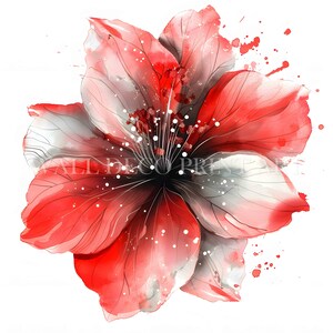Red & Silver Abstract Flowers Clipart Bundle - 10 High Quality Jpgs ...