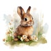 Cute Easter Animals Clipart Bundle 8 High Quality JPG Digital Downloads ...