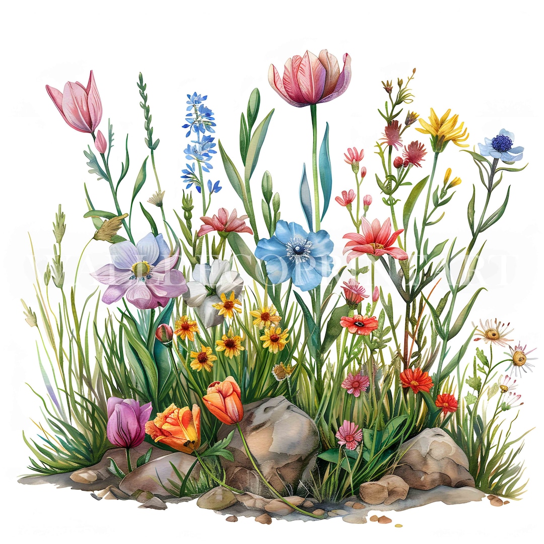 10 Wildflowers Clipart Bundle - High Quality Jpgs - Digital Download ...
