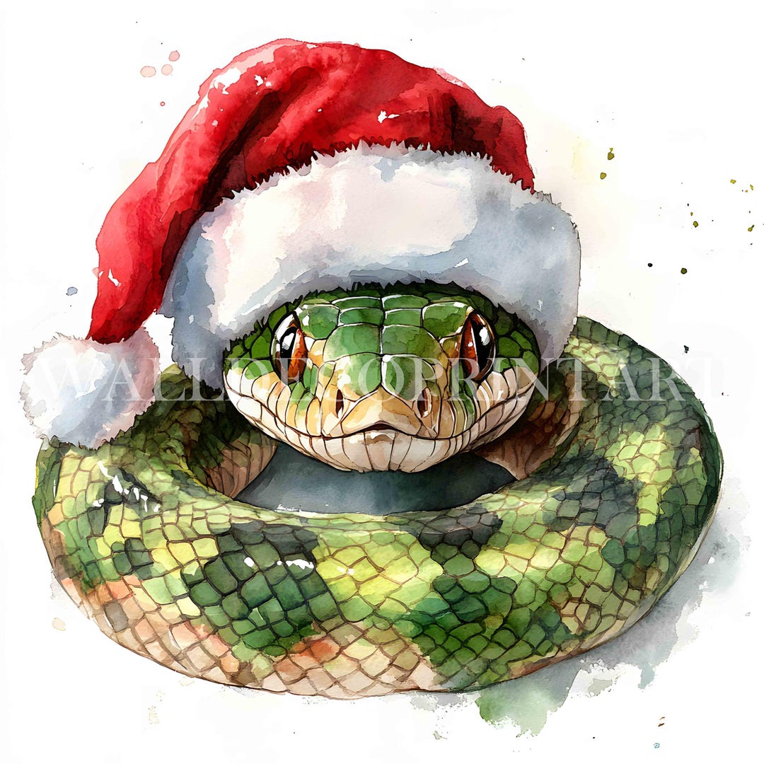 10 Christmas Snakes Clipart Bundle - High Quality Jpgs - Digital ...