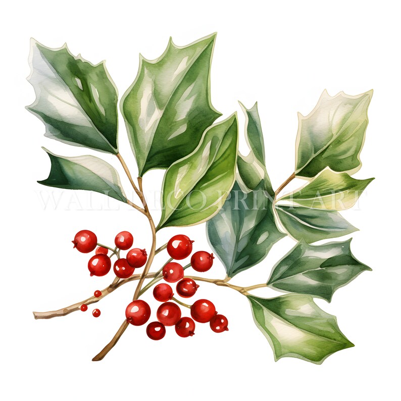 Christmas Mistletoe Clipart Bundle - 12 High Quality JPG - Digital ...