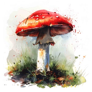 Cute Red Toadstool Clipart Bundle - 10 High Quality Jpgs - Digital ...