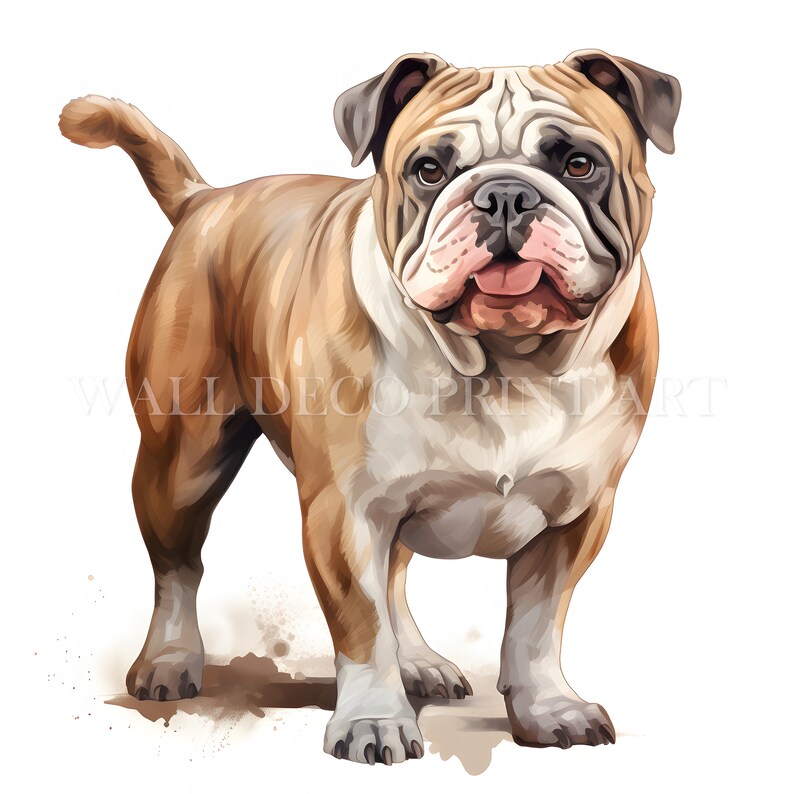 Cute Bulldog Puppy Clipart Bundle 10 High Quality Jpgs - Etsy