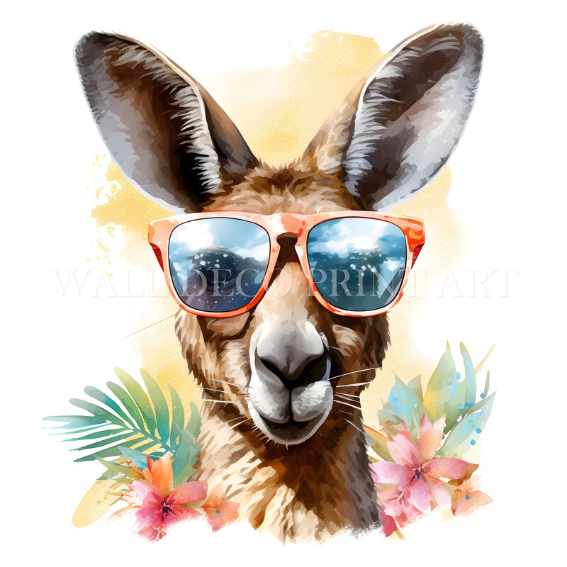 Kangaroo Watercolor - Etsy