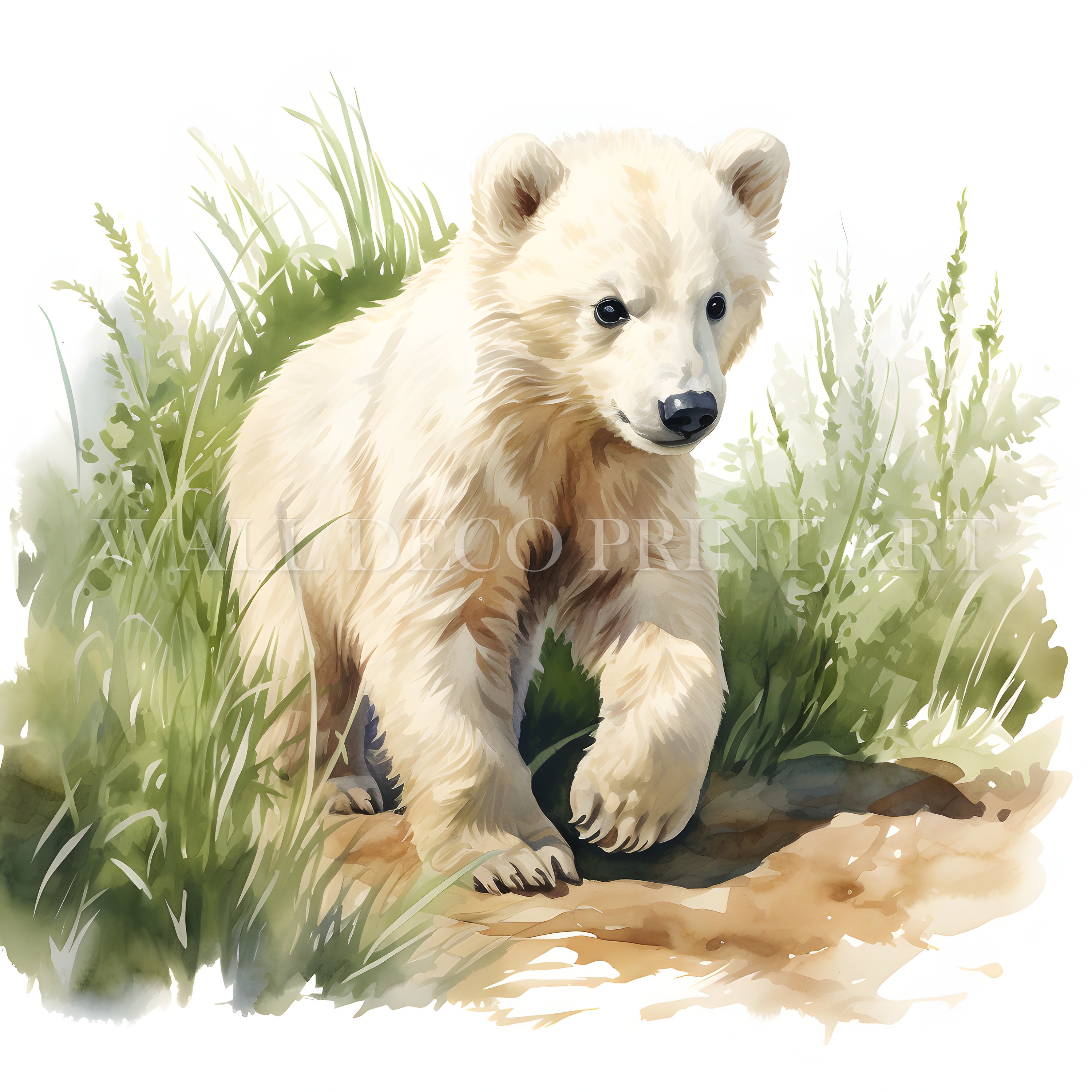 Cute Baby Polar Bear Clipart Bundle 9 High Quality Jpgs - Etsy