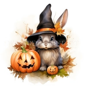 Cute Halloween Rabbit Clipart Bundle - 10 High Quality Jpgs, Digital ...