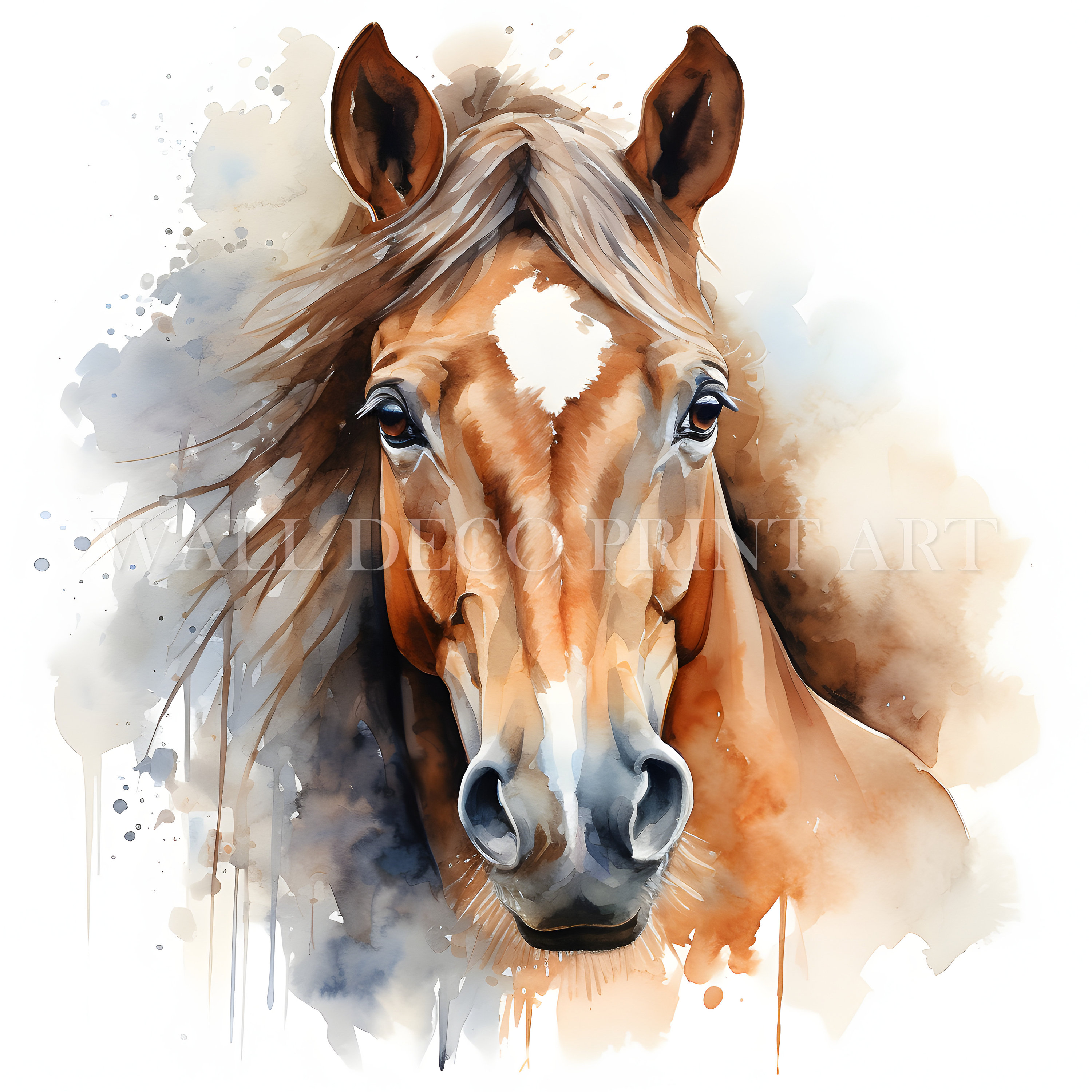 Detailed Horse Clipart Bundle - 10 High Quality Jpgs - Digital ...