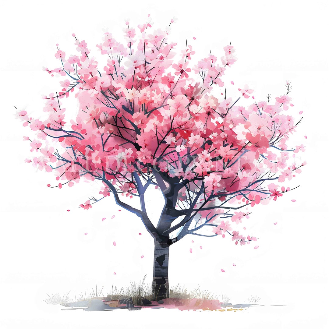 Lovely Cherry Blossom Trees Clipart Bundle - 10 High Quality Jpgs ...