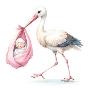 Baby Girl and Stork Clipart Bundle - 10 High Quality Jpgs - Digital ...