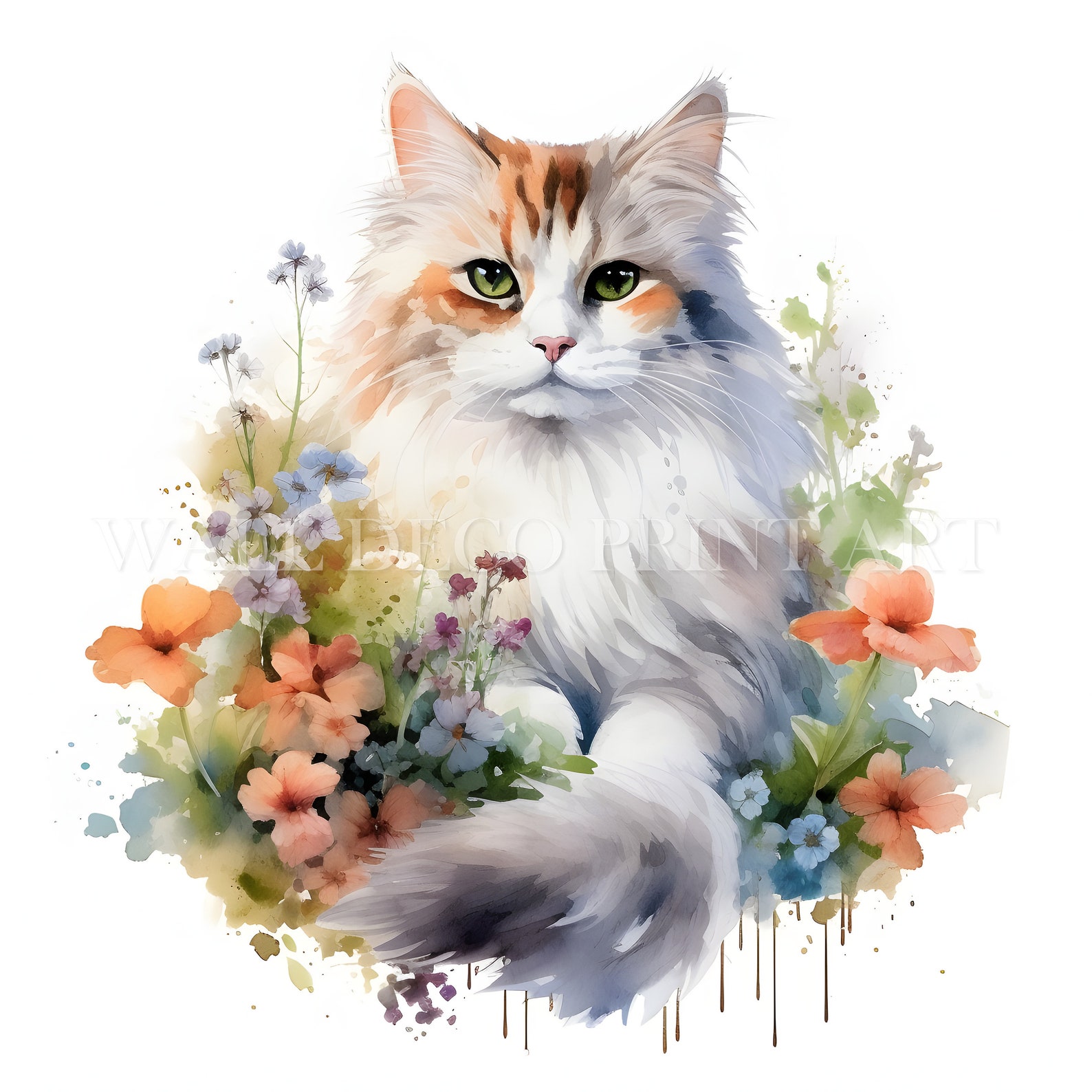 Beautiful CAT Clipart Bundle - 10 High Quality Jpgs - Digital Downloads ...