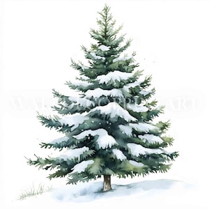 10 Winter Tree With Snow Clipart Bundle - High Quality Jpgs - Digital ...