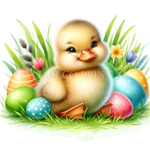 Cute Easter Animals Clipart Bundle - SET 2 - 10 High Quality JPG ...