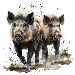 12 Wild Boar Clipart Bundle - High Quality Jpgs - Digital Download ...