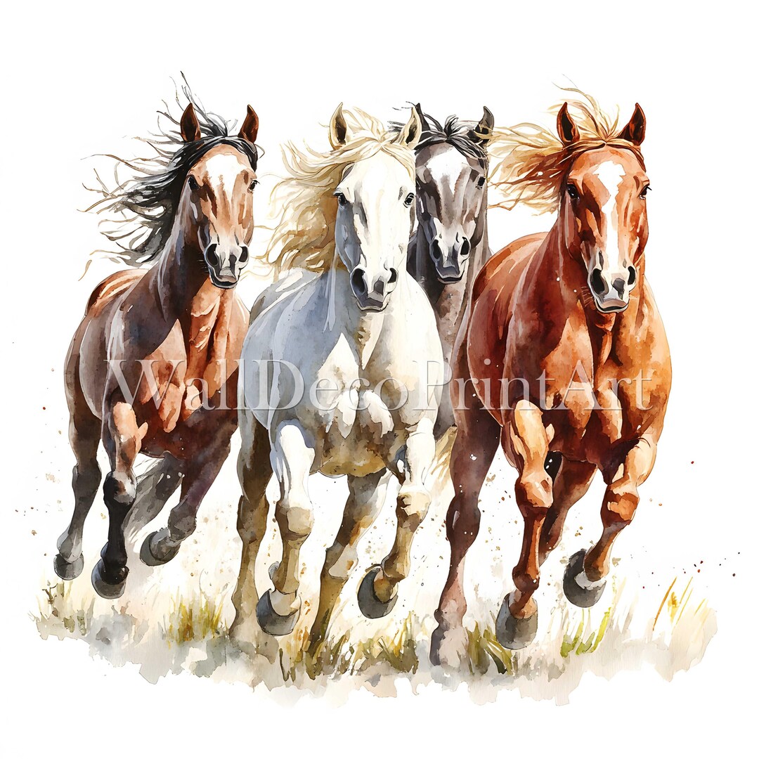 10 Wild Mustangs Clipart Bundle - High Quality Jpgs - Digital Download ...
