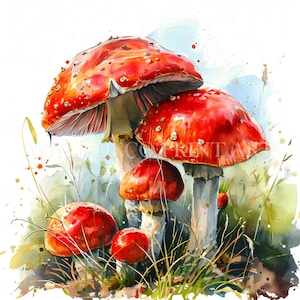 Cute Red Toadstool Clipart Bundle - 10 High Quality Jpgs - Digital ...