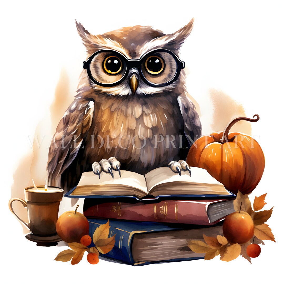 Cute Owl Reading Book Clipart Bundle - 14 High Quality Jpgs - Digital ...
