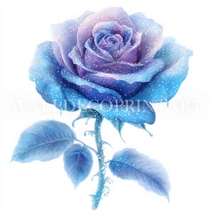 10 Frozen Roses Clipart - High Quality Jpgs - Digital Downloads ...