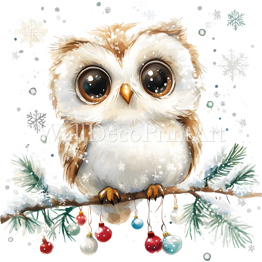10 Cute Christmas Owl Clipart Bundle - High Quality JPG - Digital ...