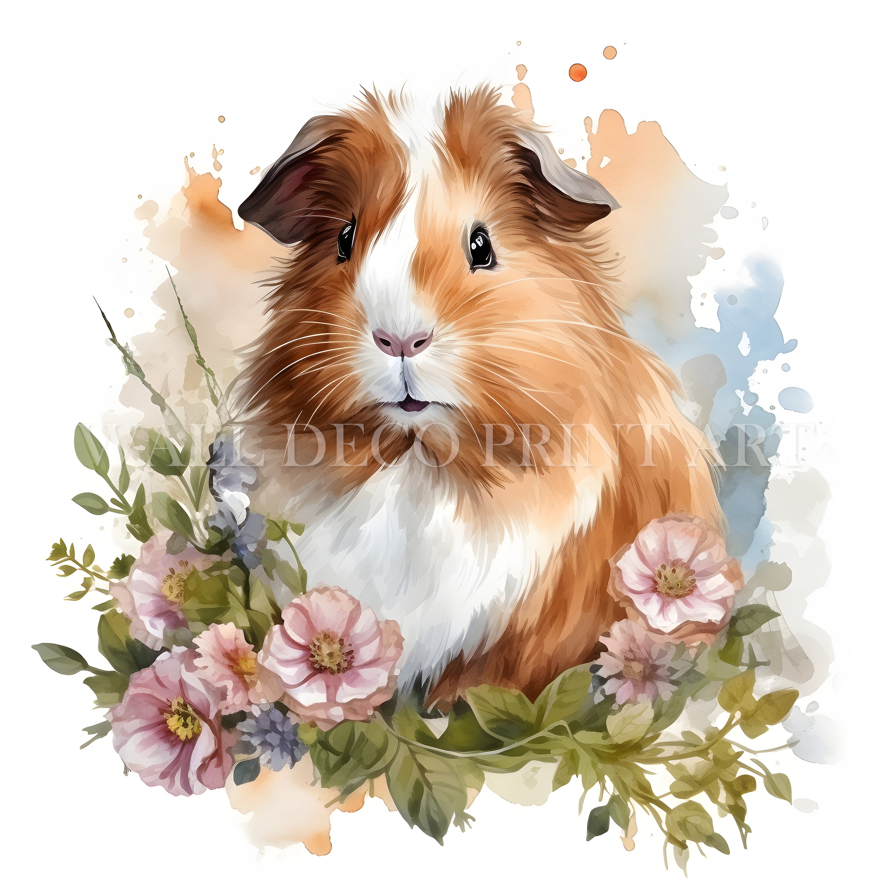 Cute GUINEA PIG Clipart Bundle - 10 High Quality Jpgs - Digital ...