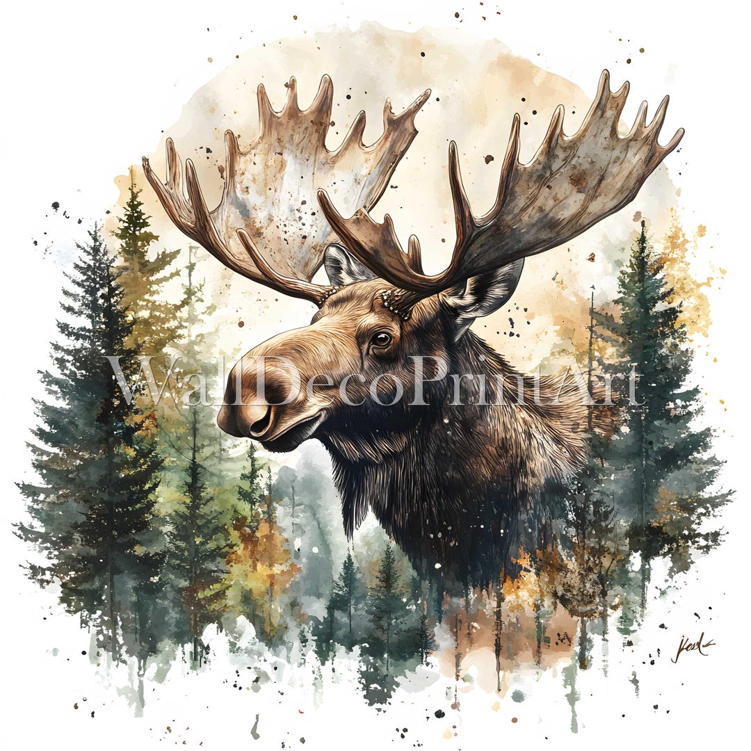 Beautiful Moose Clipart Bundle - 10 High Quality JPG - Digital Download ...