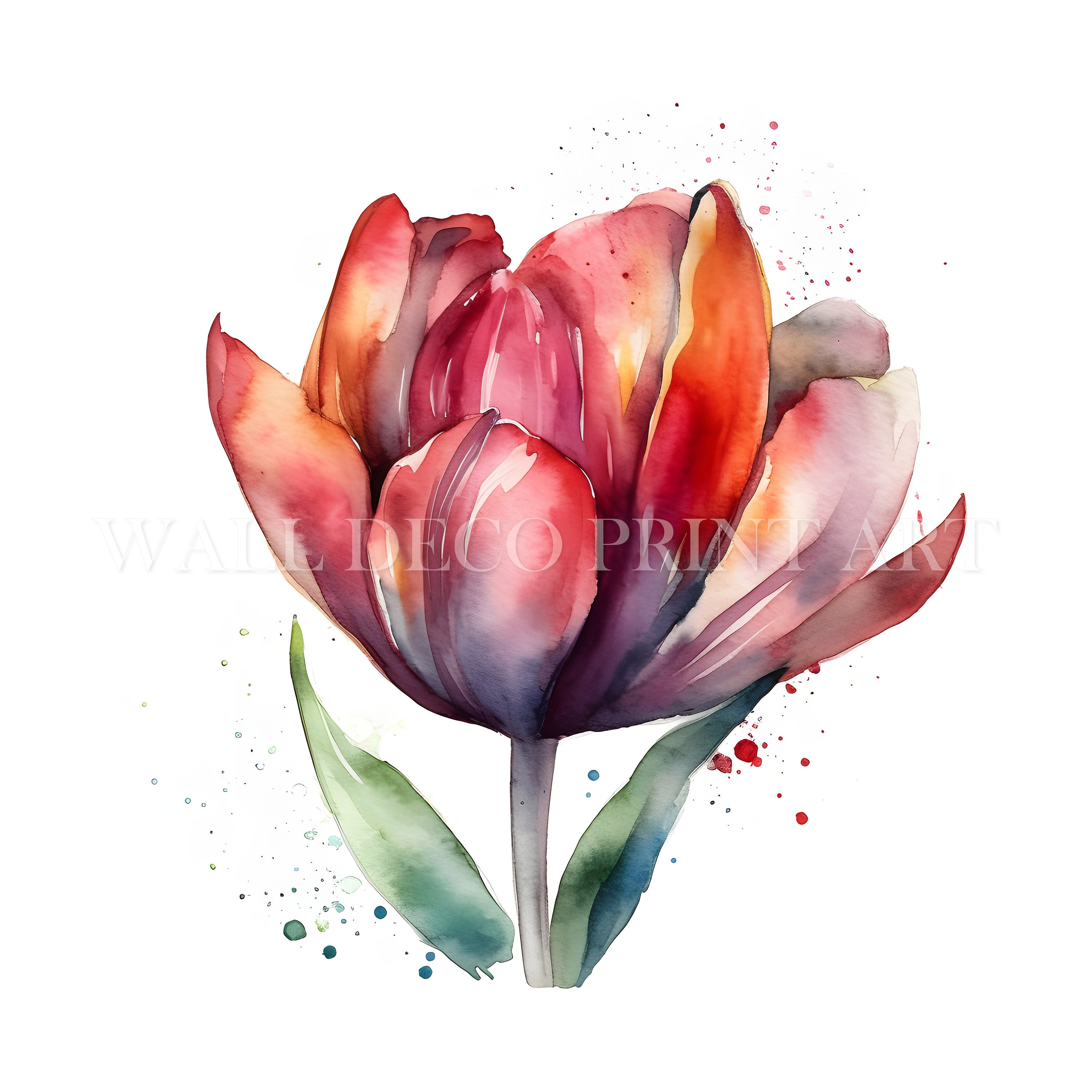 Watercolor Spring Flowers Clipart Tulip 10 High Quality - Etsy