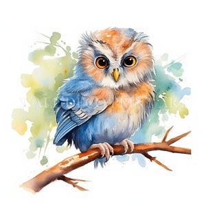 Beautiful OWL Clipart Bundle - 10 High Quality Jpgs - Digital Downloads ...