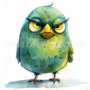 11 Cute Grumpy Bird Clipart Bundle - High Quality Jpgs - Digital ...