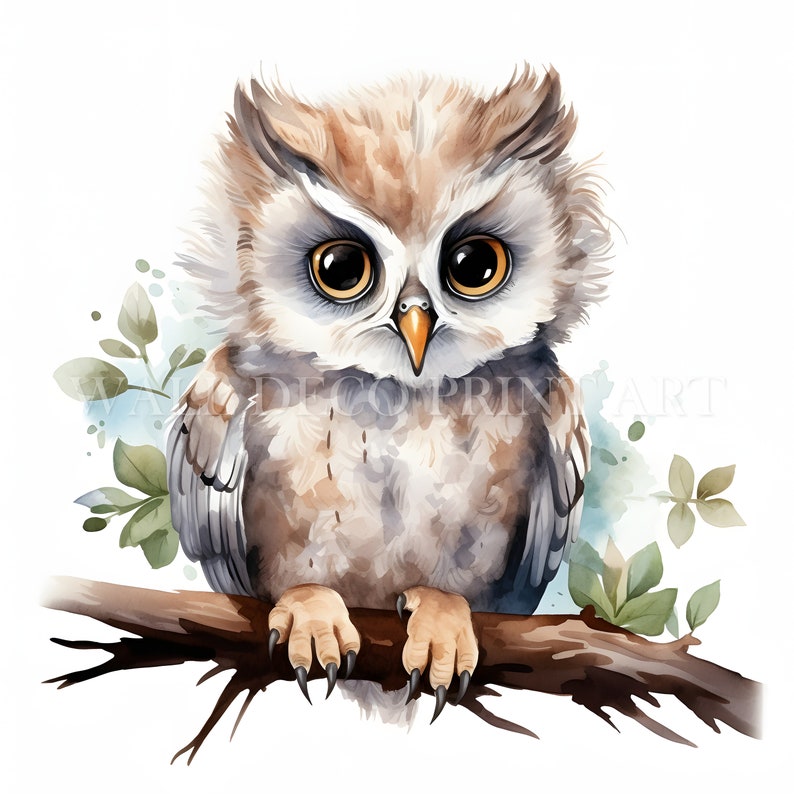 Cute Little Owl Clipart Bundle - 10 High Quality Jpgs - Digital ...