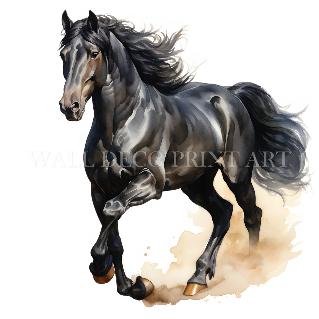 Lovely Black Stallion Clipart Bundle - 10 High Quality Jpgs - Digital ...