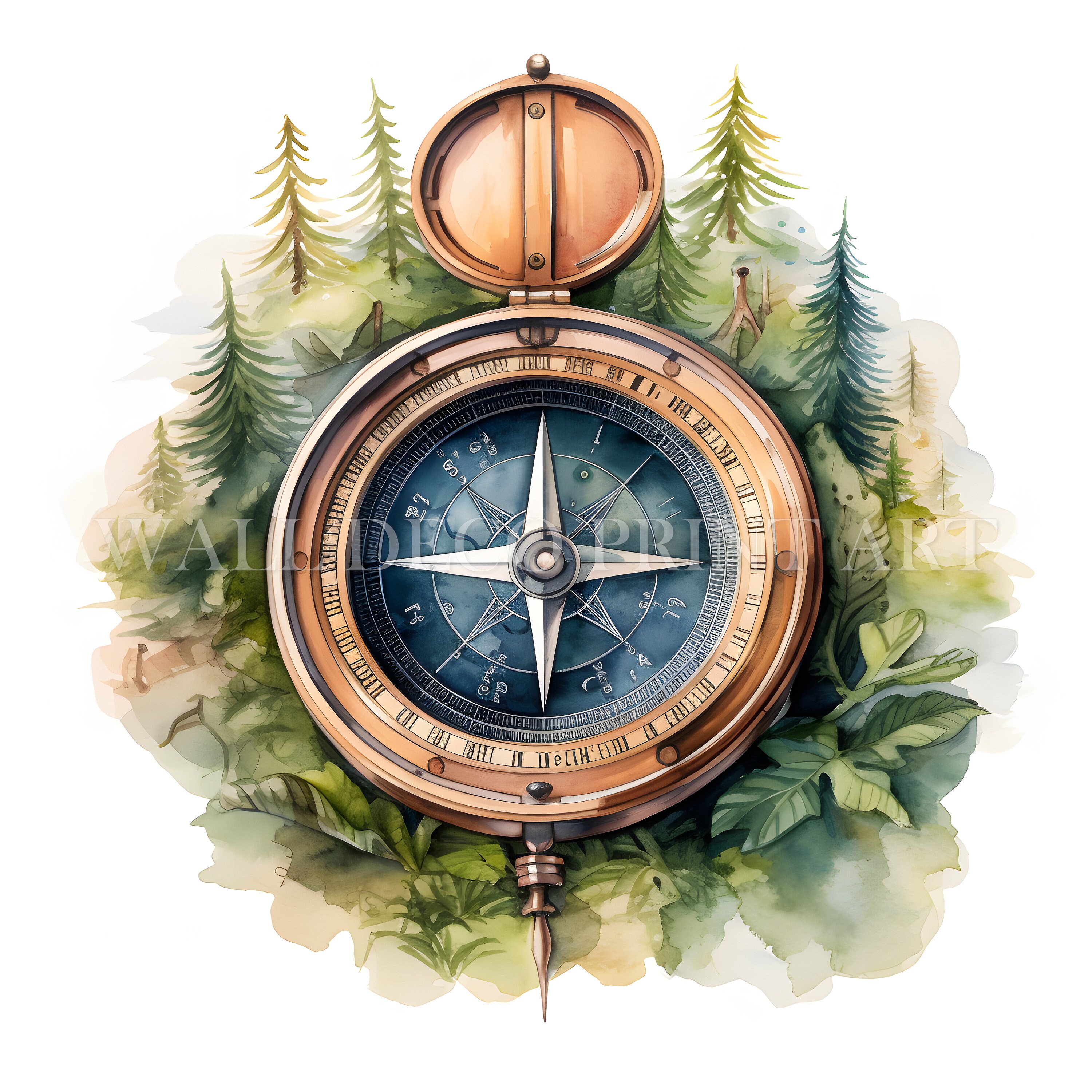 Watercolor Compass Clipart Bundle - 11 High Quality Jpgs - Digital ...