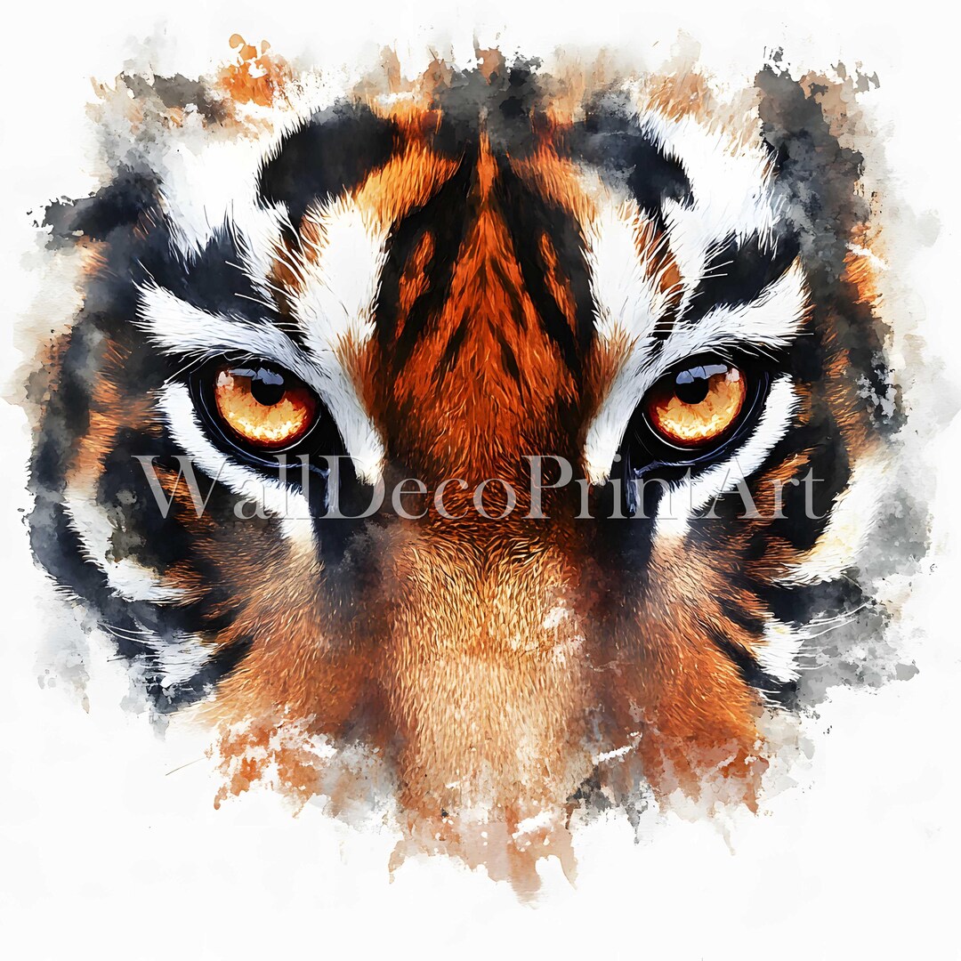 12 Detailed Tiger Clipart Bundle - High Quality Jpgs - Digital ...