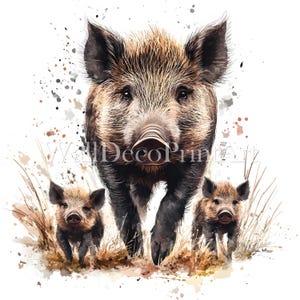 12 Wild Boar Clipart Bundle - High Quality Jpgs - Digital Download ...