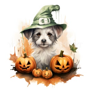 Cute Halloween Dog Clipart Bundle - 10 High Quality Jpgs - Digital ...