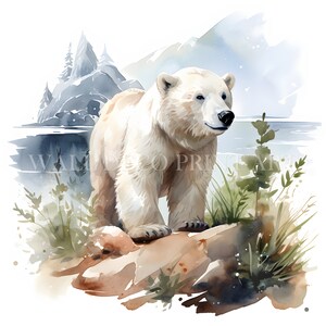 Beautiful Polar Bear Clipart Bundle - 10 High Quality Jpgs - Digital ...
