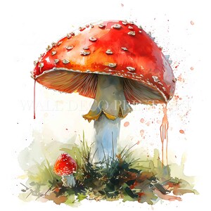 Cute Red Toadstool Clipart Bundle - 10 High Quality Jpgs - Digital ...