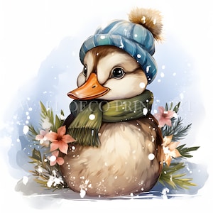 Cute Winter Duck Clipart Bundle - 10 High Quality Jpgs - Digital ...