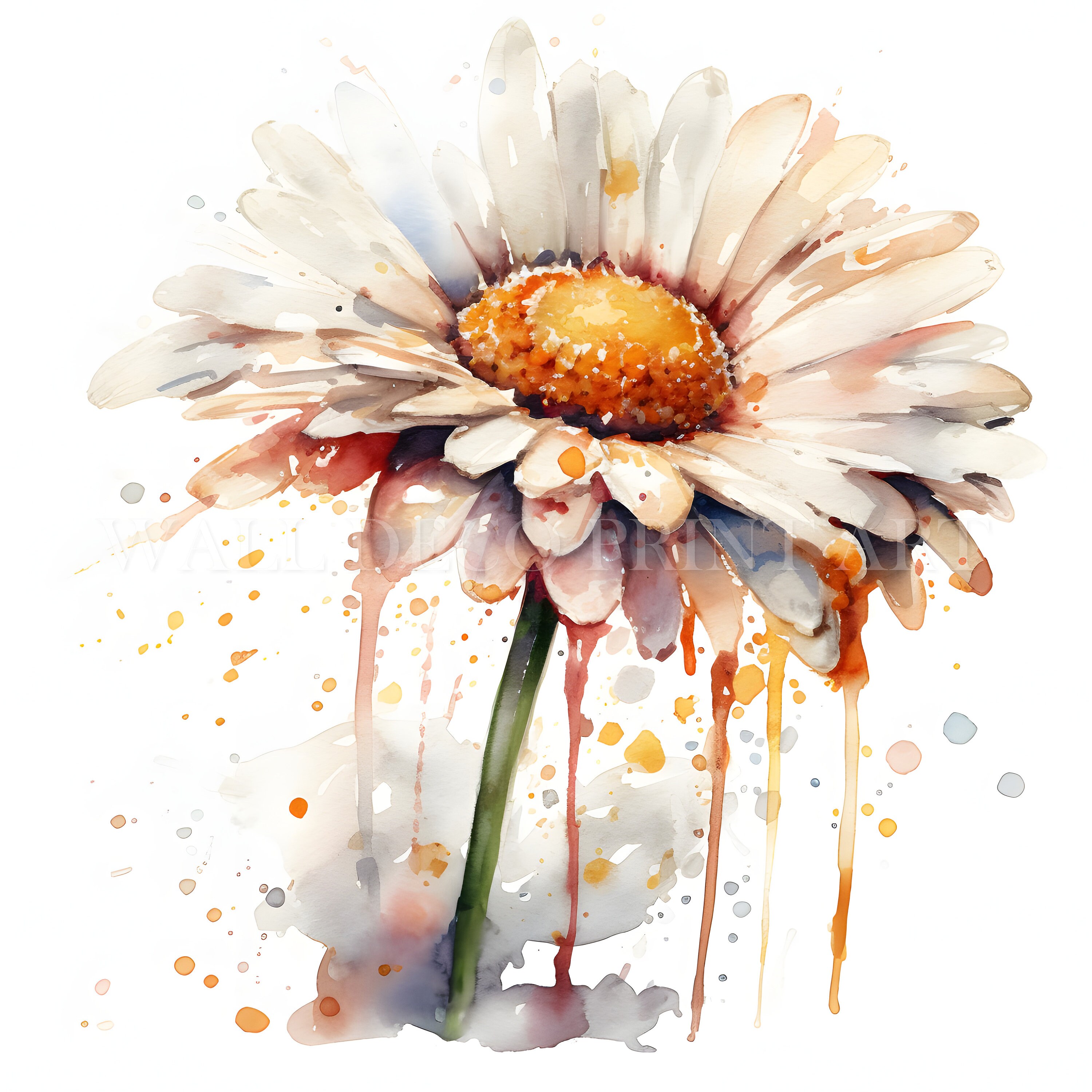 Watercolor Spring Flowers Clipart - Daisy - 10 High Quality Jpgs ...