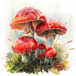 Cute Red Toadstool Clipart Bundle - 10 High Quality Jpgs - Digital ...