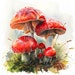 Cute Red Toadstool Clipart Bundle 10 High Quality Jpgs Digital ...